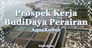 13 Prospek Kerja Teknik Kelautan (Ocean Engineering) 2022