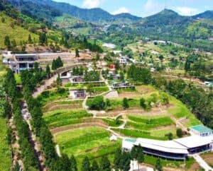 Harga Penginapan Alinson Sunset Hill Puncak Bogor 2026