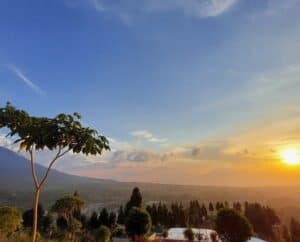 Harga Penginapan Alinson Sunset Hill Puncak Bogor 2026